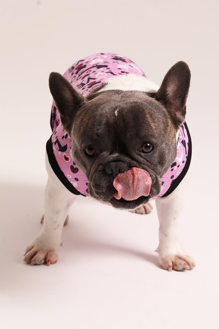 Roupa Pet Love Cat