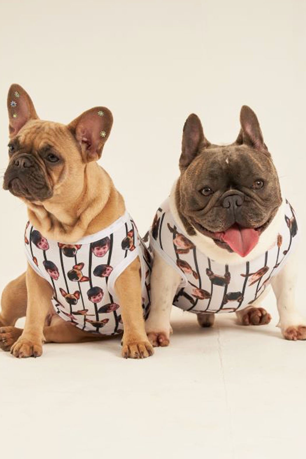 Roupa Pet Personalizada Listras Pretas